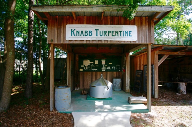 The Brutality of Florida’s Turpentine Industry
